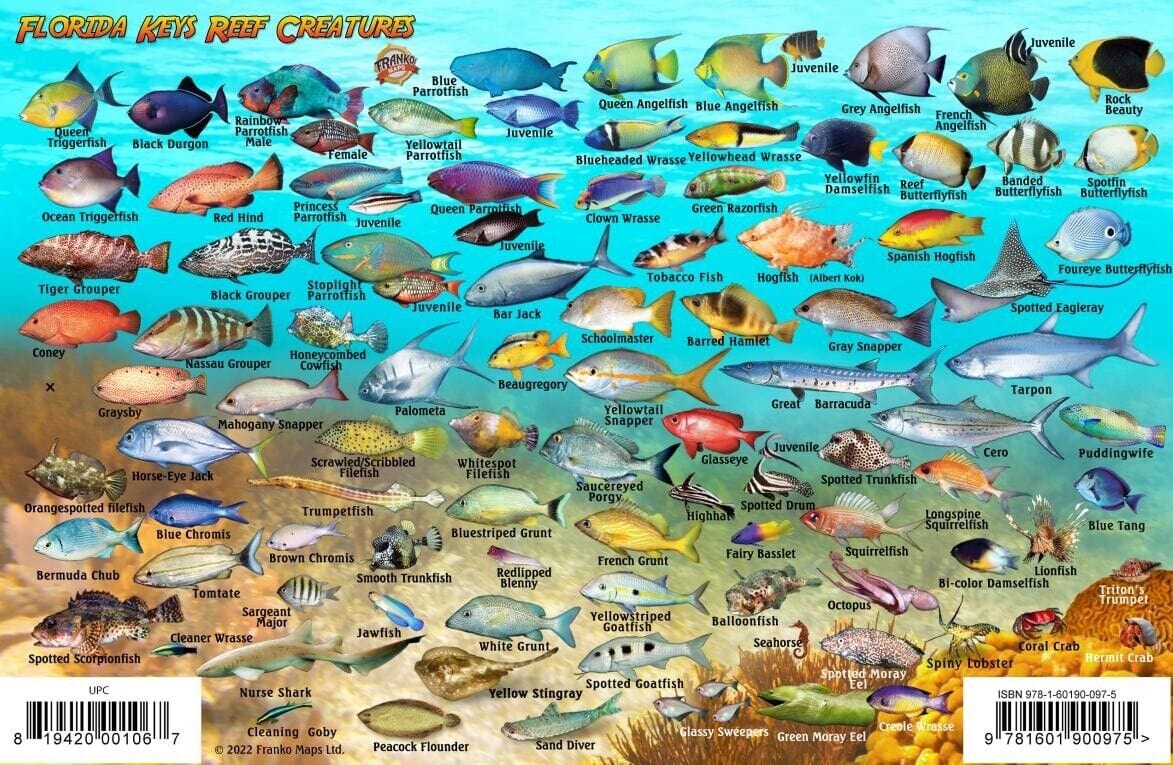 Florida Keys Fish Card - Amnautical