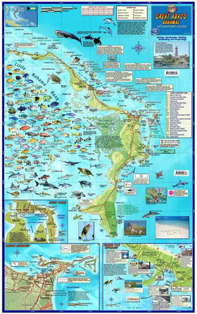 Great Abaco Island, The Bahamas, Adventure Guide Map - Amnautical