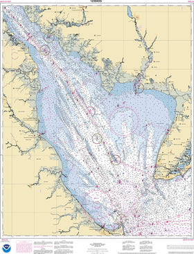 NOAA Delaware Bay Nautical Chart 12304 | Delaware Bay Map - Amnautical