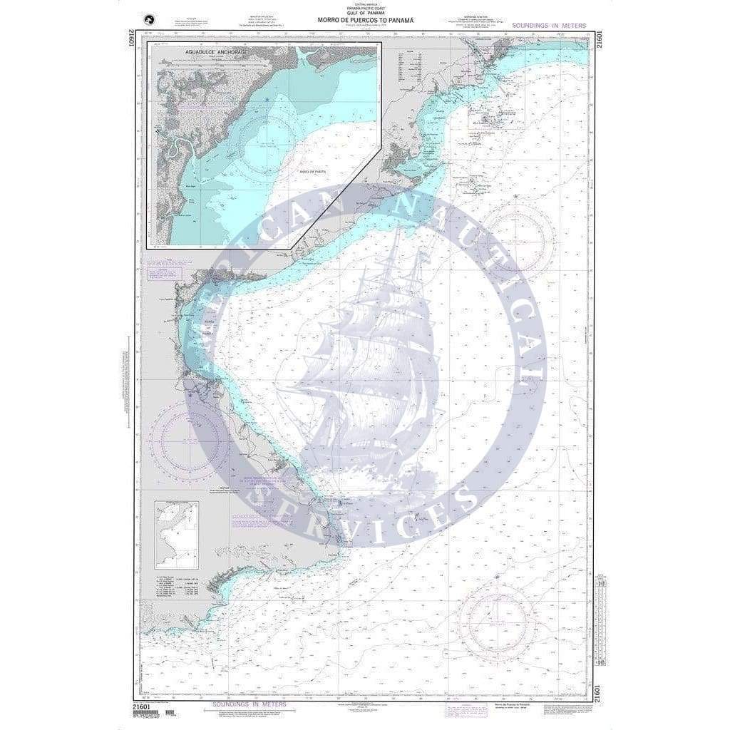 NGA Nautical Chart 21601 - Amnautical