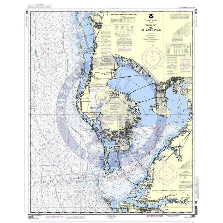 NOAA Nautical Chart 11412: Tampa Bay and St. Joseph Sound - Amnautical